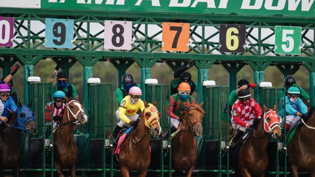 2025年 日経新春杯 予想|出走馬・データ分析・買い目ポイント 鉄矢の競馬予想